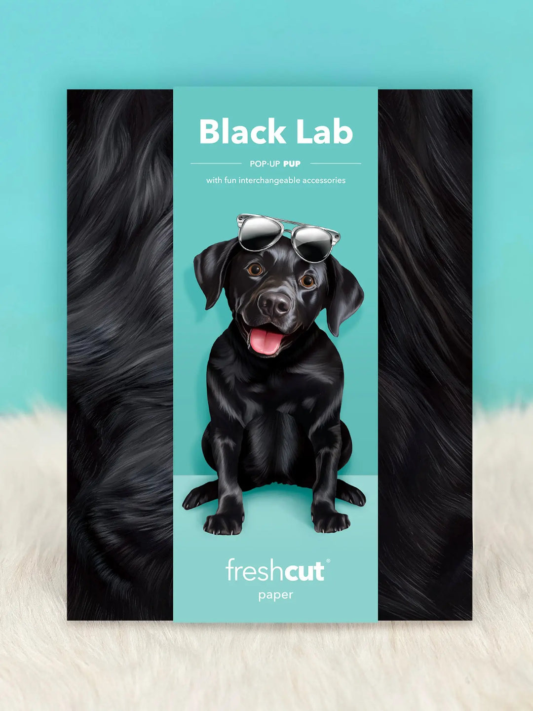 Pop-Up Black Lab Pet Card | FreshCut Paper 3D Dog Greeting