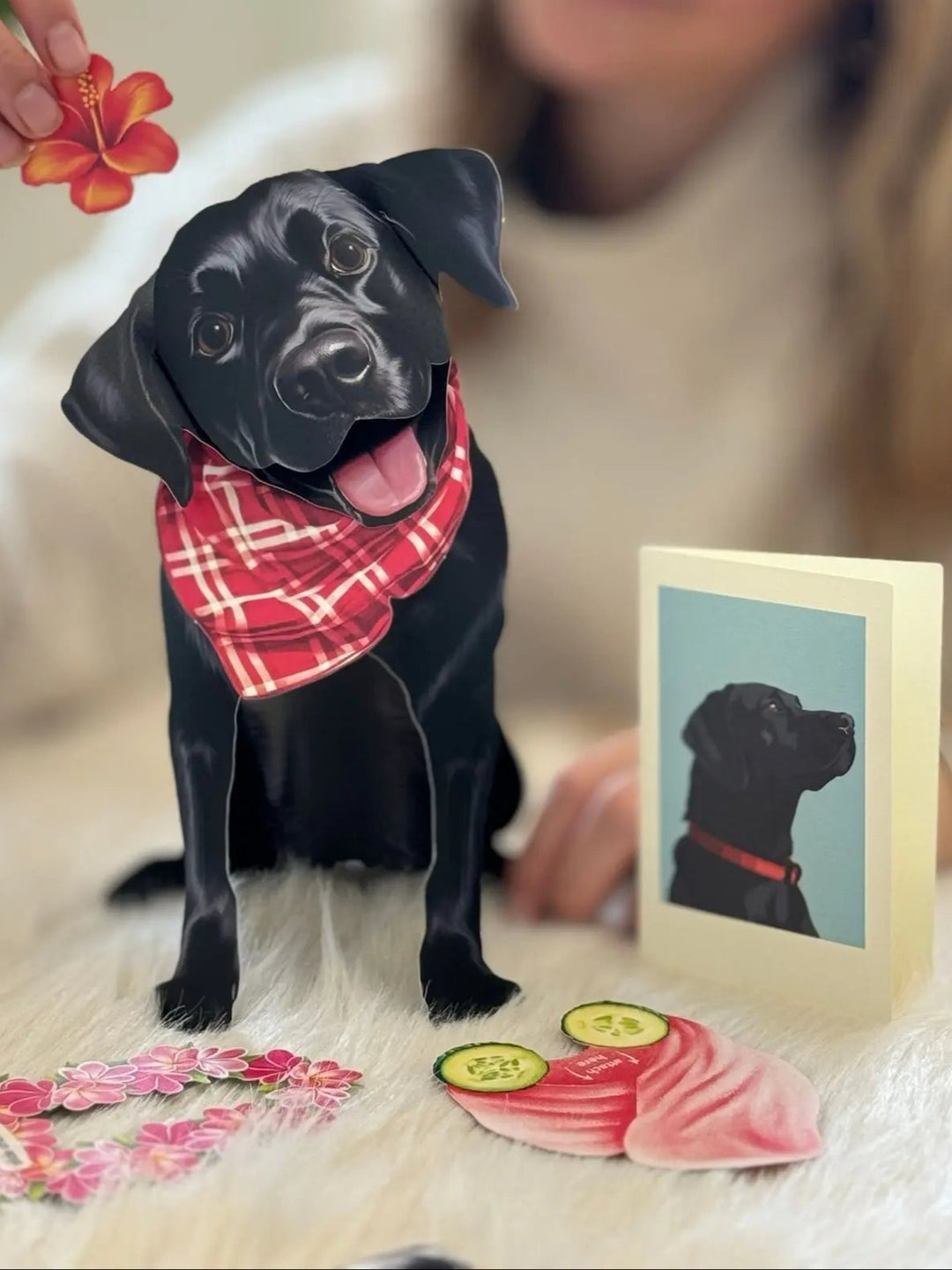 Celebrate Animal Lovers with FreshCut Paper Pop-Up Pets