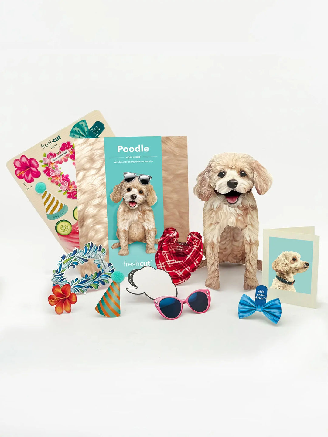 Pop-Up Poodle Pet Card | FreshCut Paper 3D Animal Greeting