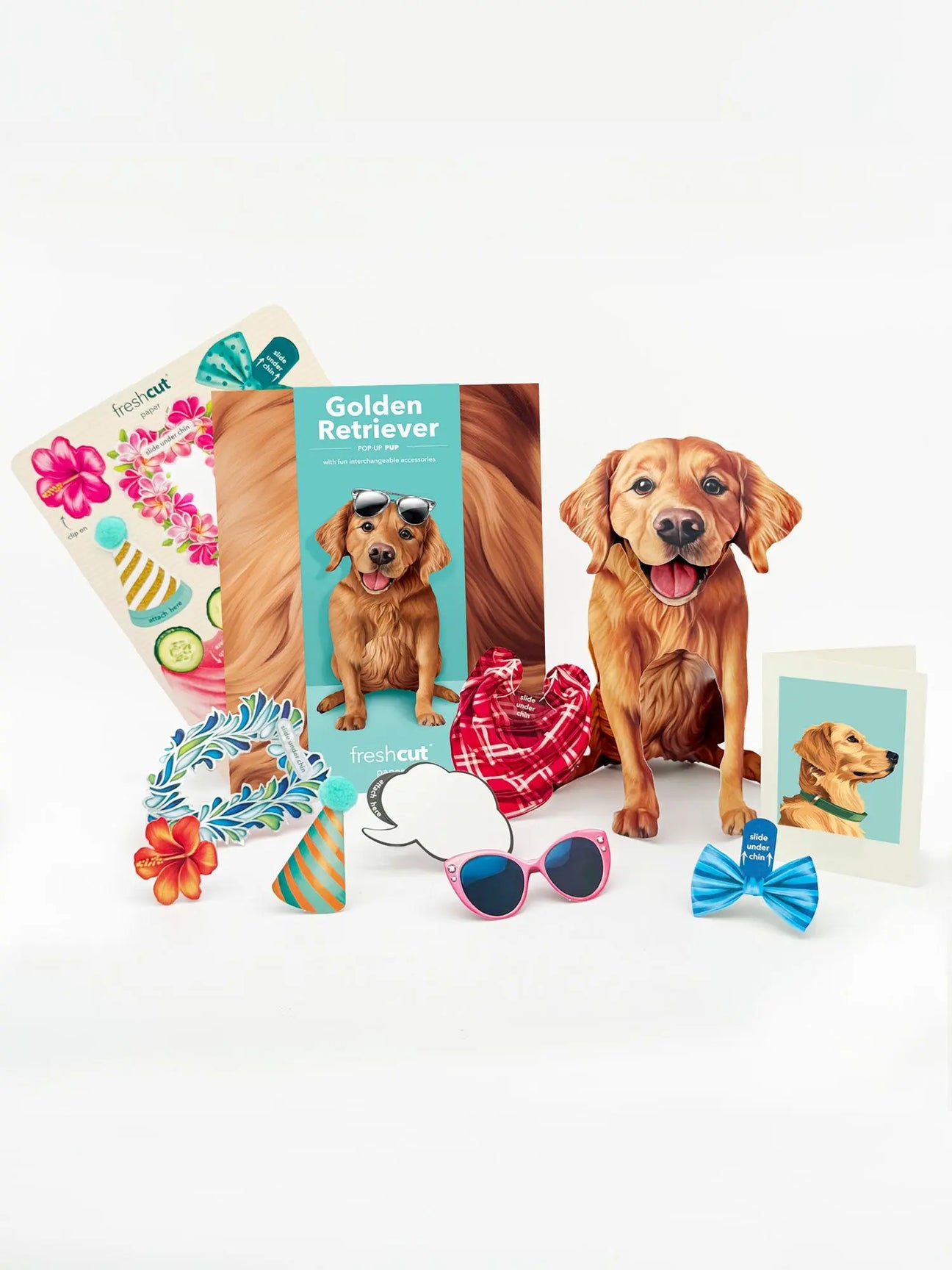 Pop-Up Golden Retriever Pet Card | FreshCut Paper 3D Dog Greeting