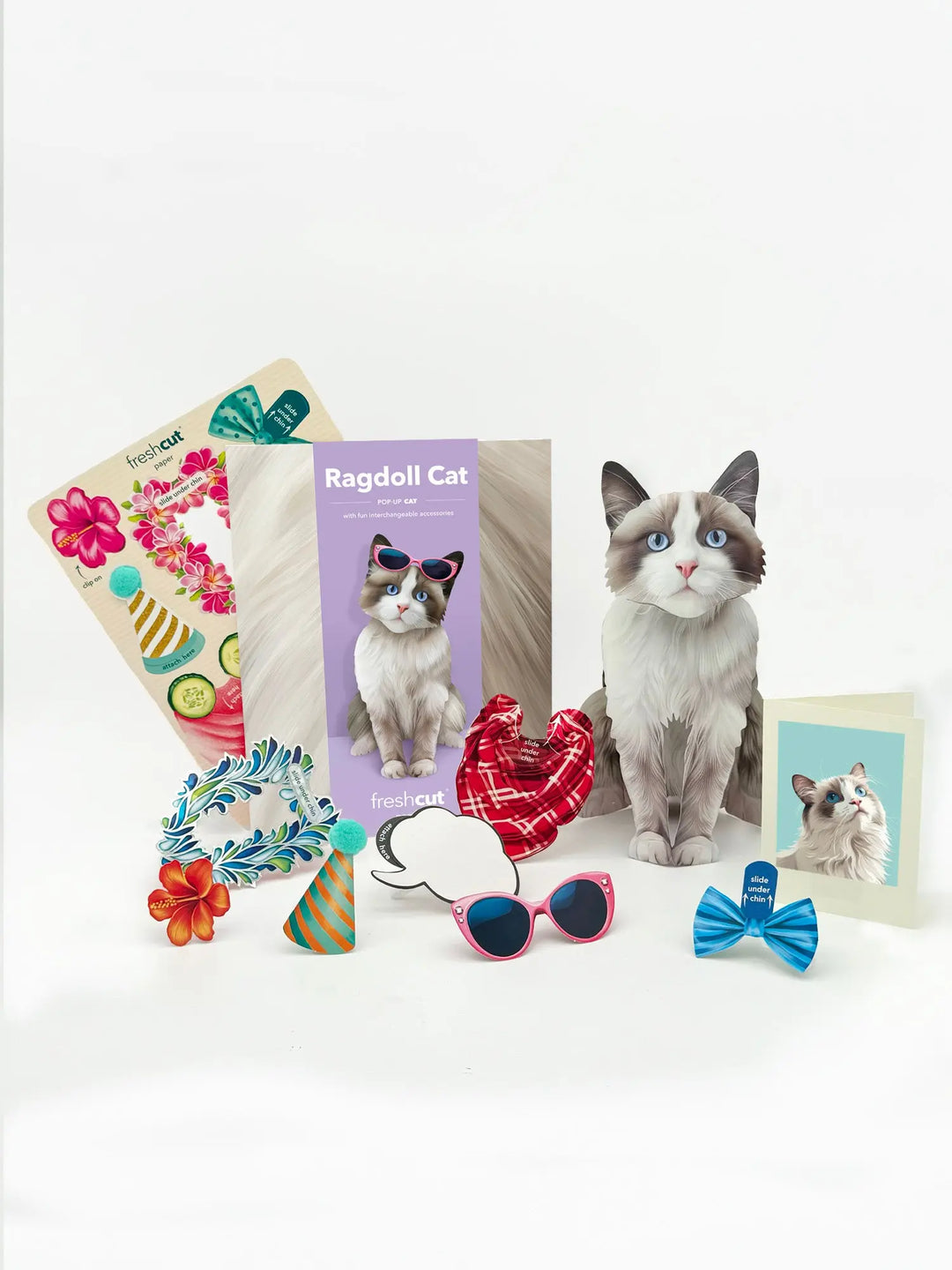 FreshCut Paper Pop-Up Ragdoll Cat - Delightful Paper Pet Keepsake