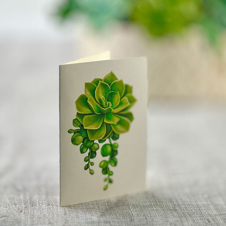 Cactus Garden Paper Flower Bouquet | FreshCut Paper Desert Elegance