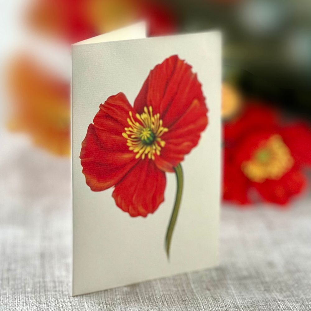 French Poppies Paper Flower Bouquet | FreshCut Paper Floral Elegance