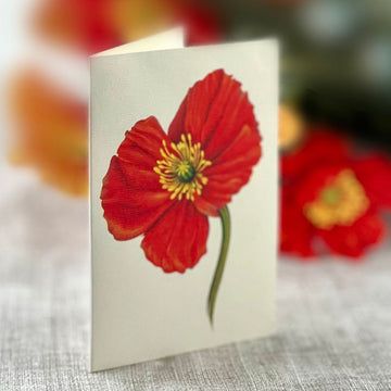 French Poppies Paper Flower Bouquet | FreshCut Paper Floral Elegance