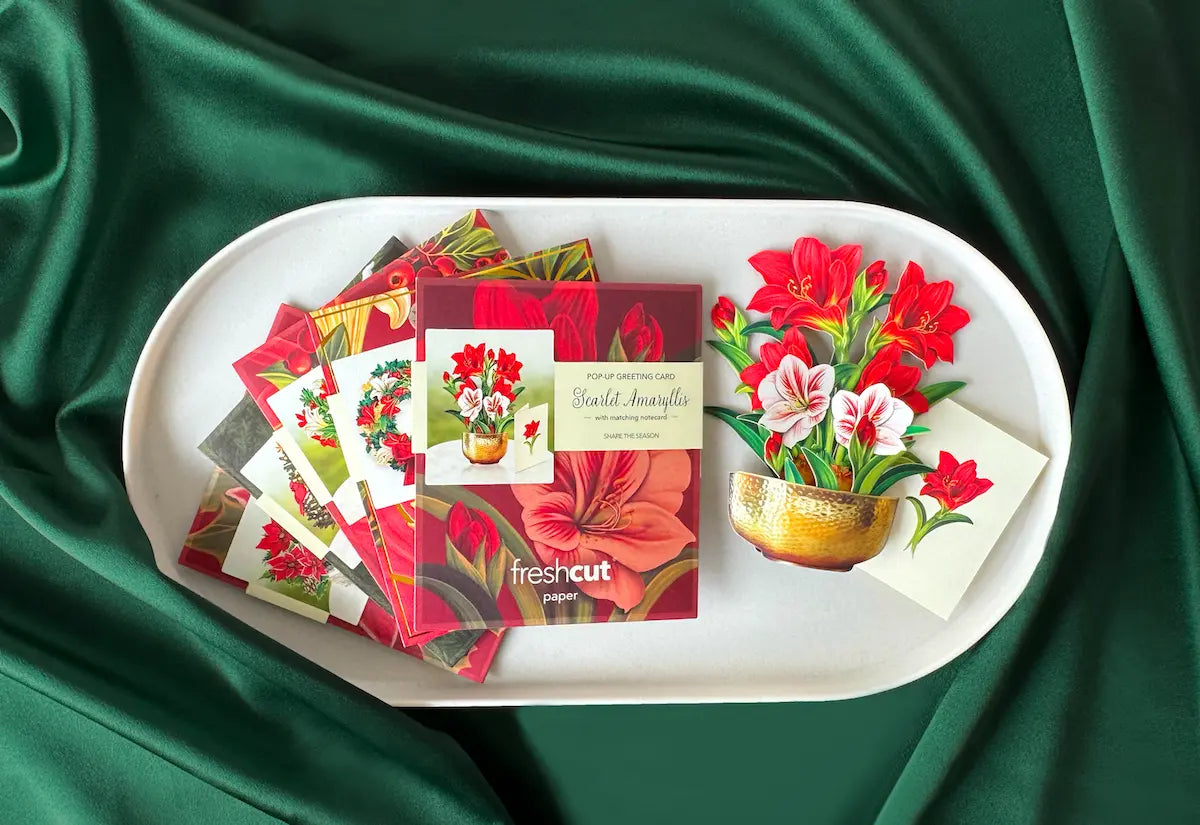 Holiday Favorites Boxed Set | 5 Pop-Up Cards with Paper Flowers ...