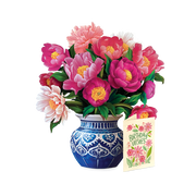 Shop by Occasion | FreshCut Paper Pop-Up Cards & Paper Bouquets