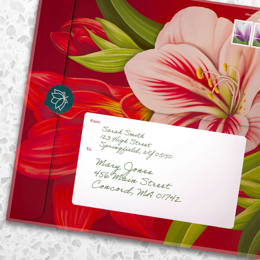 FreshCut Paper Pop Up Flowers Scarlet Amaryllis 3D Greeting Card