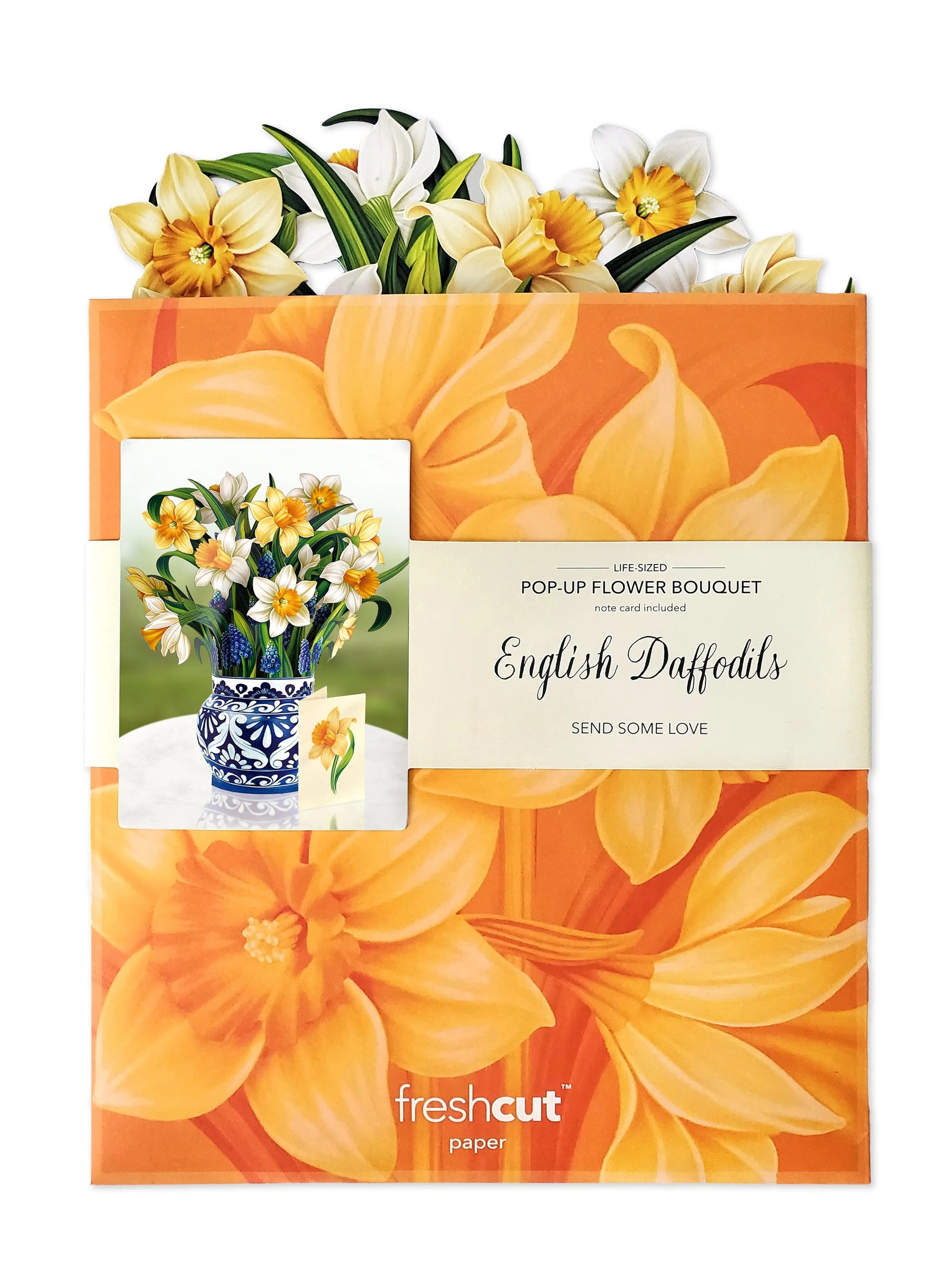 FreshCut Paper Pop Up English Daffodils Paper Bouquet