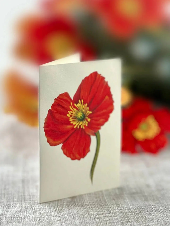 French Poppies Paper Flower Bouquet | FreshCut Paper Floral Elegance