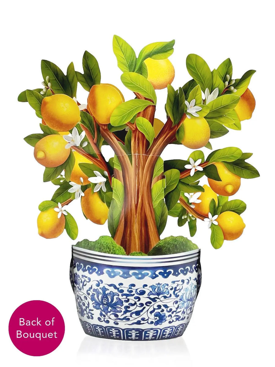 Lemon Blossom Tree | Paper Flowers & Paper Flower Bouquet | FreshCut ...