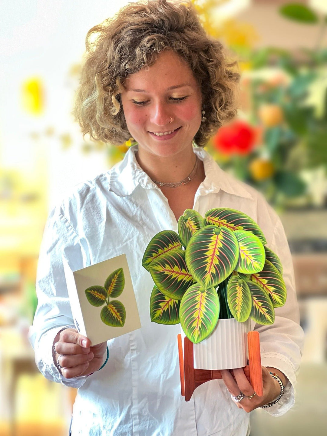 Prayer Plant Pop Up Elegant Paper Flower Bouquet Freshcut Paper