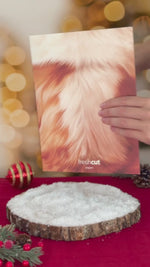 Bring Joy Home with Festive Pop-Up Corgis | FreshCut Paper