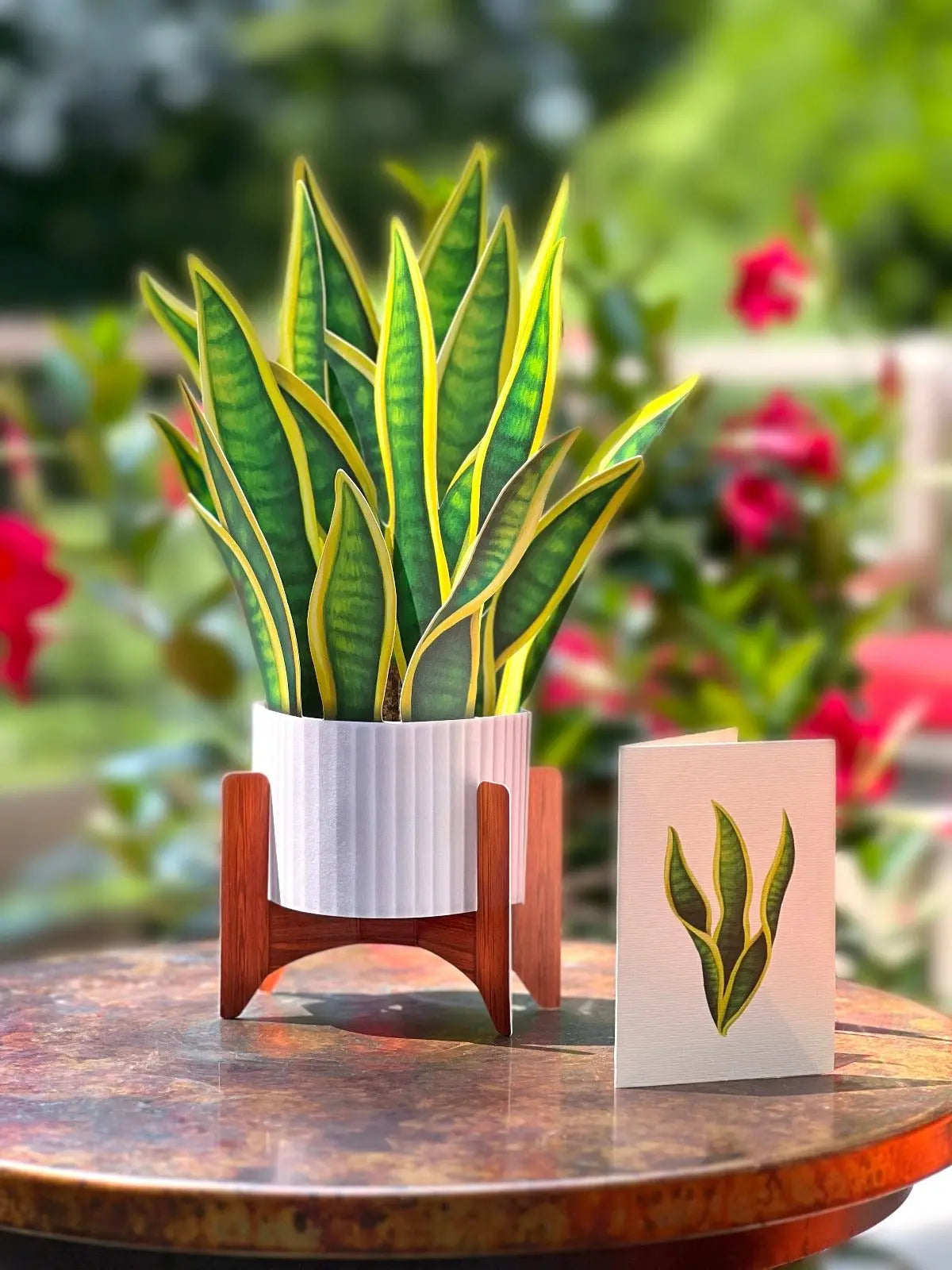 FreshCut Paper Pop Up Flowers Snake Plant 3D Greeting Card