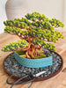 Wisdom Bonsai | Unique Paper Flower Arrangement | FreshCut Paper